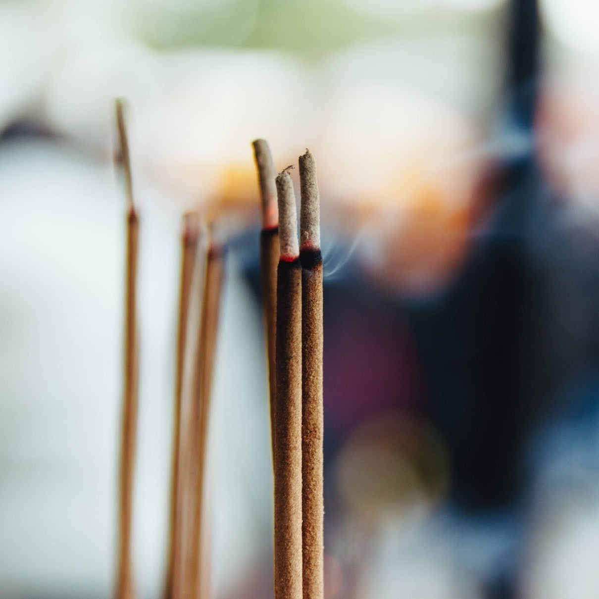 Botanical Aura: Incense Sticks (10 pack)